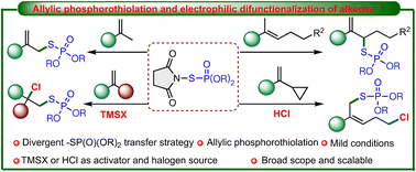 TMSCl-promoted allylic phosphorothiolation and intermolecular ...