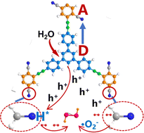 Engineering spatially separated redox sites in donor–acceptor polymers ...