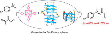 G-quadruplex DNA/iron cationic porphyrin catalyzes enantioselective ...