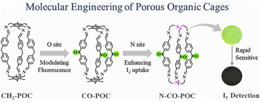 Molecular engineering of porous organic cages for iodine capture and ...
