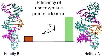 A-type helicity controls efficient nonenzymatic template copying of ...