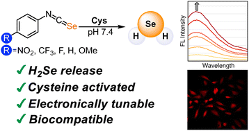 Cysteine-activated hydrogen selenide (H2Se) delivery from ...