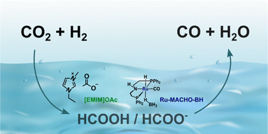 A benign and scalable reverse water–gas shift reaction in EMIM acetate ...