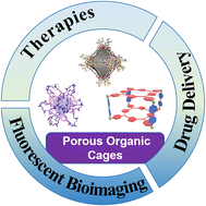 Recent advances in developing bioactive porous organic cages for ...