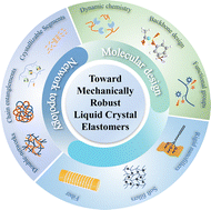 Toward mechanically robust liquid crystal elastomers: multiscale ...