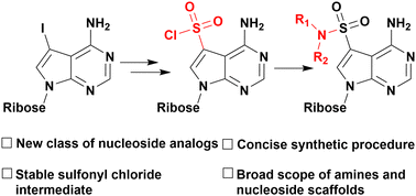 C7-Sulfonamide functionalization of 7-deazaadenosines: sangivamycin ...