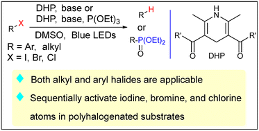 1,4-Dihydropyridine compounds as versatile dehalogenation reagents ...
