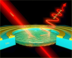 Plasmonic nanopore to monitor in-pore chemistry - Chemical ...