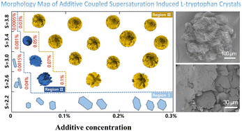 Revealing the effects of polymeric additive coupling supersaturation on ...