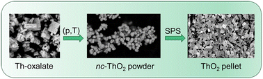 Influence of thorium dioxide powder synthesis methods on conventional ...