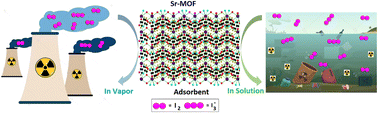 Fabrication of a 3D Sr-based metal–organic framework bearing ant ...
