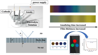 Interference-driven structural colors in anodized niobium oxide thin ...