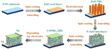 Quantum-dot ZnO–CsPbBr3 interlayer induced high-performance ZnO nanoarray/CsPbBr3 photodetector ...