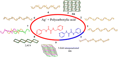 Structure-directing roles of polycarboxylate anions in the formation of ...