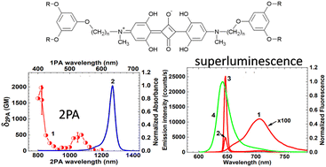 Nonlinear optical spectroscopy of new squaraine derivatives with high ...