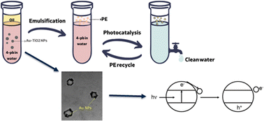 Dual-functional Au–TiO2 nanoparticles: enhanced photocatalytic activity ...