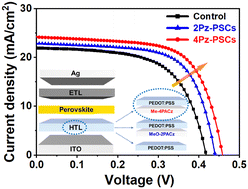 Interface modification of hole transport layers in tin-based halide ...