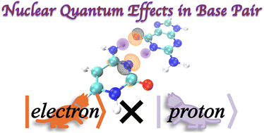 Electronic insights into the role of nuclear quantum effects in proton ...