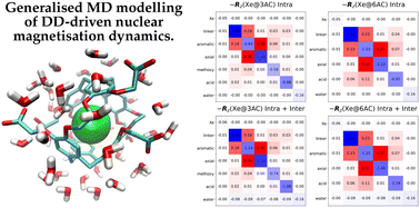 Multiscale modelling of nuclear magnetisation dynamics: spin relaxation, polarisation transfer ...