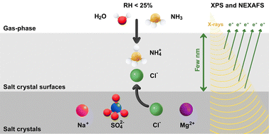 Surface migration of chloride ions on natural salts by ammonia and ...