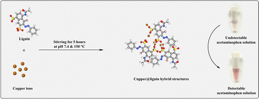 Synthesis and characterization of lignin–copper nanohybrids for ...