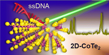Nucleobase identification using two-dimensional cobalt telluride ...