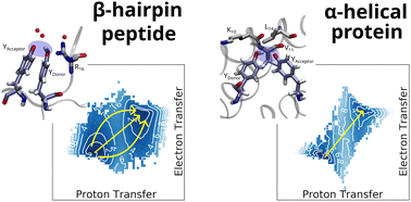Structural and environmental effects on the mechanism of biological ...