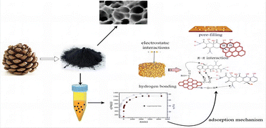Three-dimensional hierarchical porous P,O co-doped pinecone biochar for ...