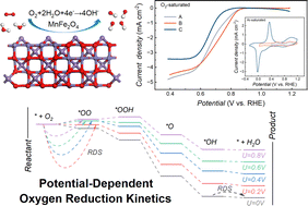 Deciphering potential-dependent oxygen reduction kinetics in spinel ...