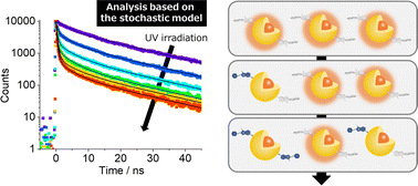 Stochastic model analysis of luminescence switching in hybrid systems ...