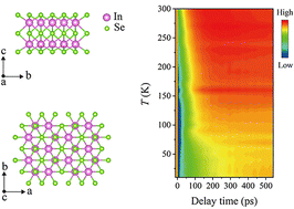 Hot carrier decay dynamics of van der Waals room temperature ...