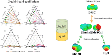 Liquid–liquid equilibrium and modelling insight: molecular interaction analysis of water ...