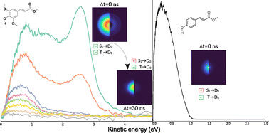 Excited-state dynamics of cinnamate-based UV filters: bringing decay ...