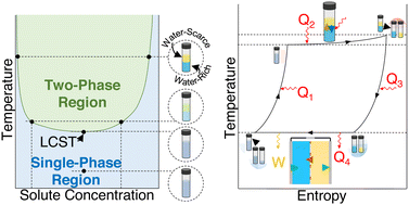 Thermodynamic properties of lower critical solution temperature (LCST ...
