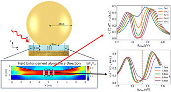 The effect of molecular interactions on strong coupling spectra in a ...