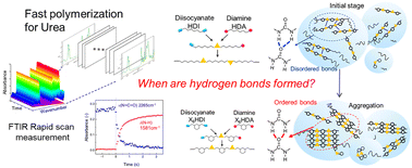 In situ observation of polyurea formation by rapid-scan time-resolved ...
