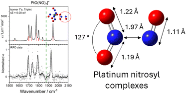 Structure, spectra, and intracluster chemistry of gas-phase platinum ...
