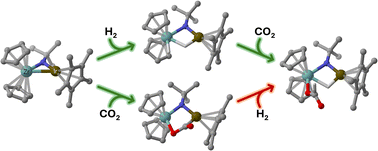 Mechanism, selectivity, and what prevents closure of the catalytic ...
