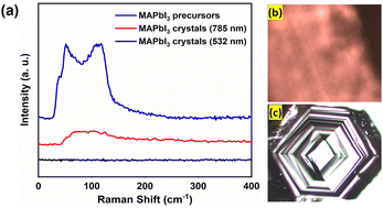 Spectroscopic investigation of the solvated MAPbI3 transition to ...