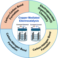 Emerging applications and mechanistic insights of copper mediated ...