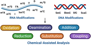 Chemical-assisted analysis of epigenetic modifications - Chemical ...
