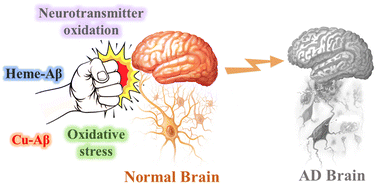 Mechanism of oxidative stress and neurotoxicity associated with heme ...