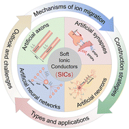 Neuromorphic iontronic devices based on soft ionic conductors ...