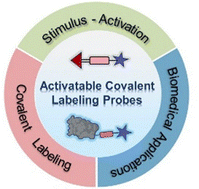 Activatable covalent labeling probes: design, mechanism, and biological ...