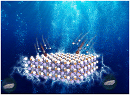 Regulating Ni2P electronic structure and morphology with cobalt: a one ...