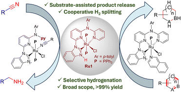 Substrate-assisted product release in hydrogenation of LOHCs facilitated by hemilabile pyridine ...