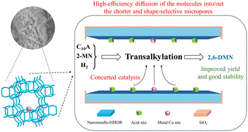 High-efficiency transalkylation of C10 aromatics with 2 ...