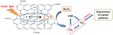 The synergistic mechanism of free radicals between graphene oxide (GO ...