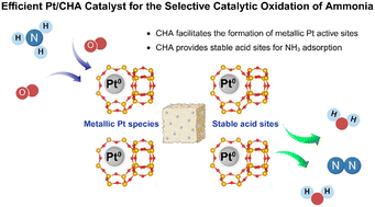 Unveiling the support effect in Pt-based catalysts for the selective ...