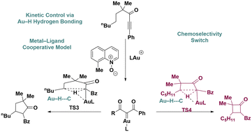 Beyond ring strain: Au–H hydrogen bonding dictates chemo-selectivity in ...
